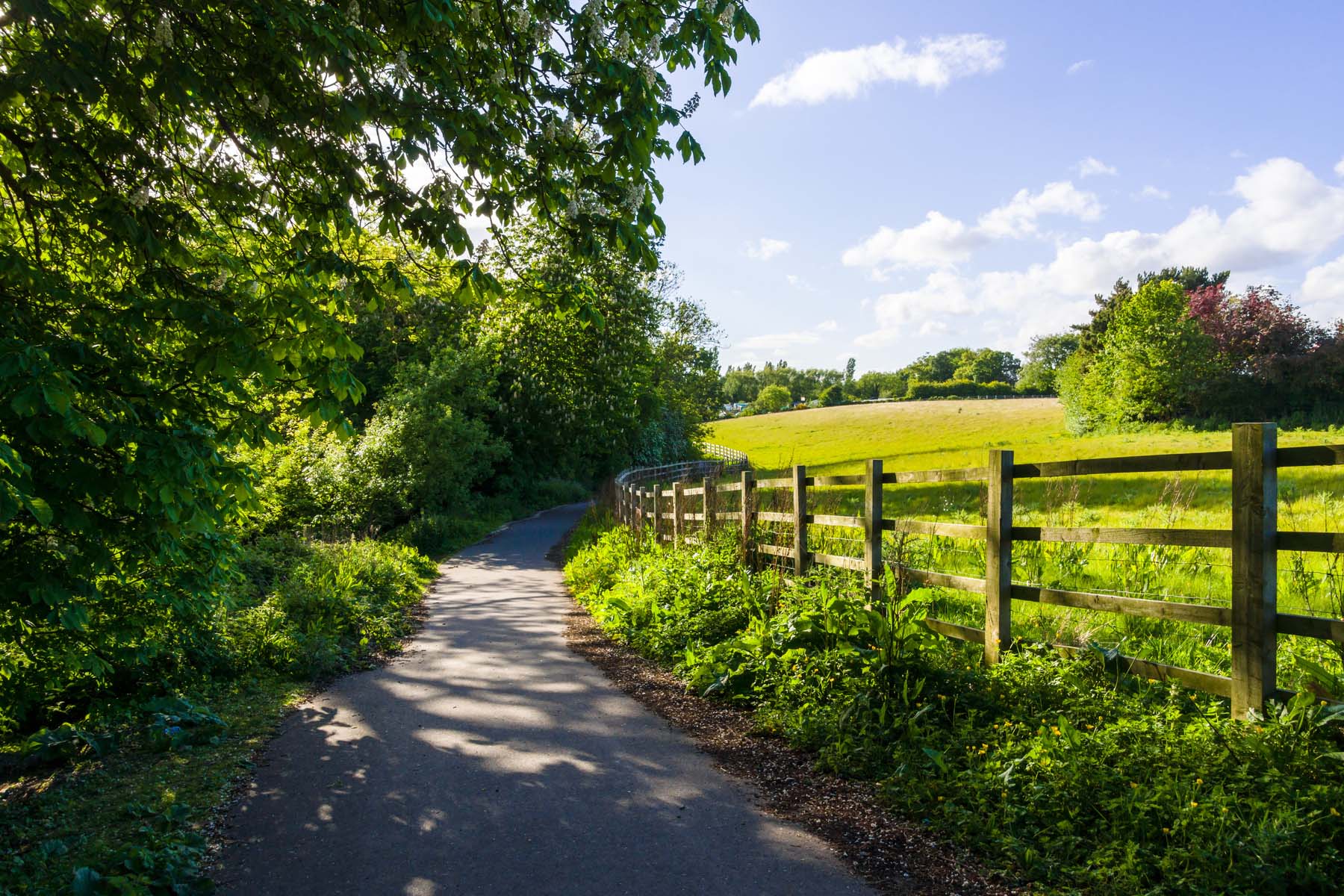 B Corp | Shire & Wold | B Corp Companies UK